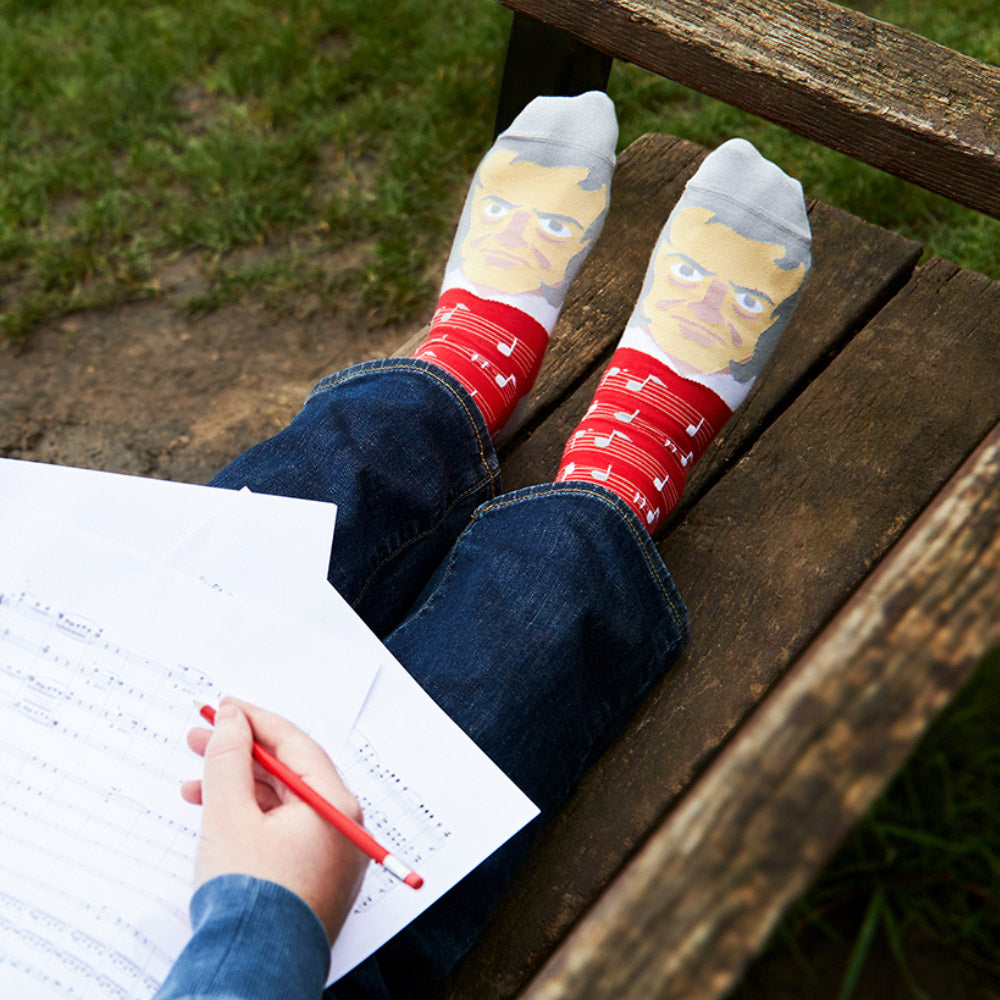 Beethoven Socks - Funny Classical Music Gift Ideas - ChattyFeet